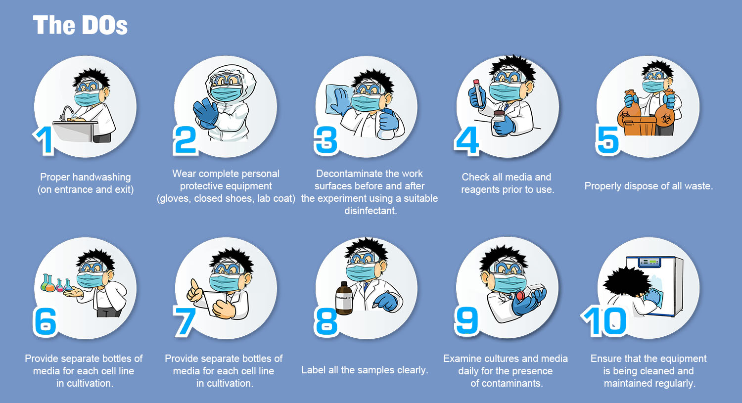 Cell Culture: Safety Practices and Solutions - BIOBASE