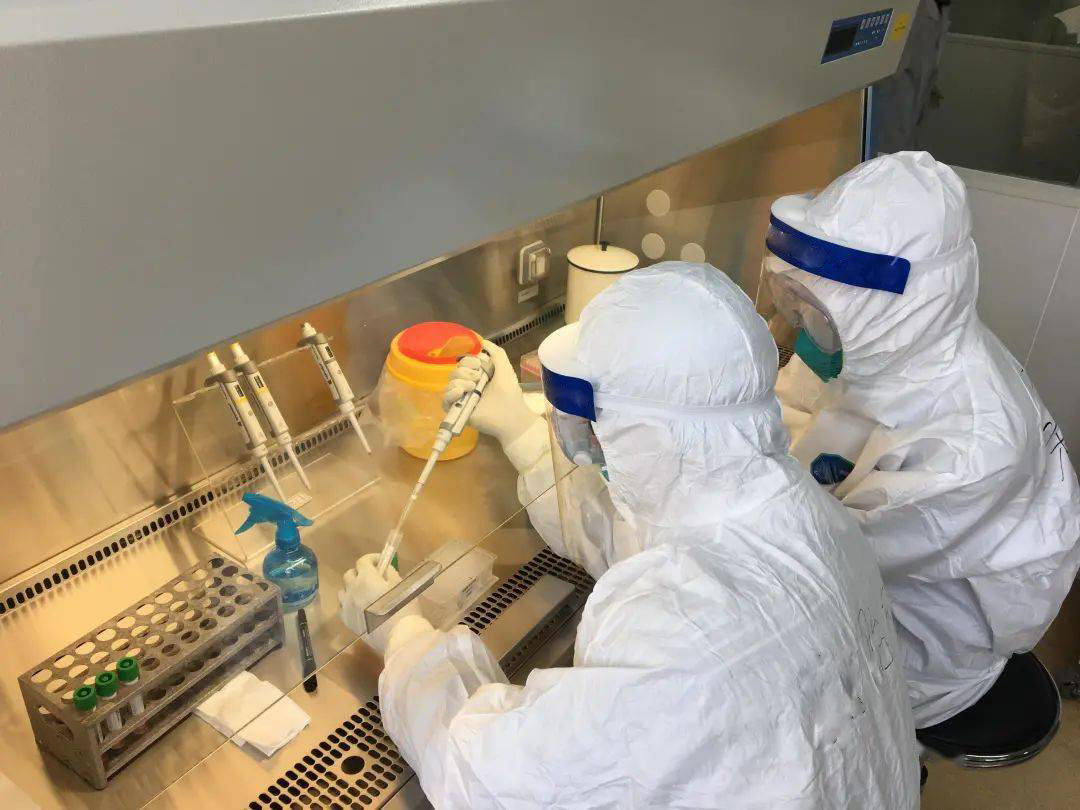 Nucleic acid detection steps and equipment - BIOBASE