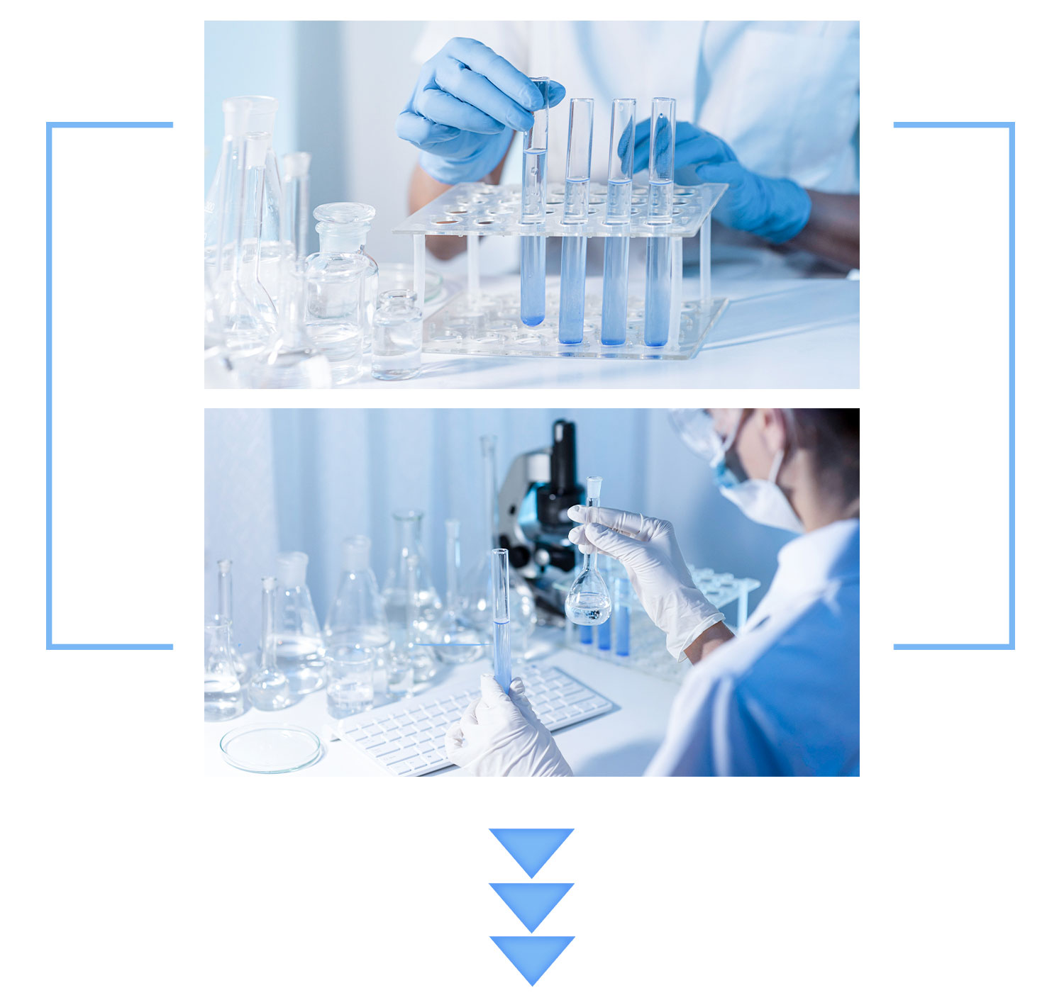 BIOBASE IVD "flagship" product: Auto Chemistry Analyzer BK-1200 - BIOBASE